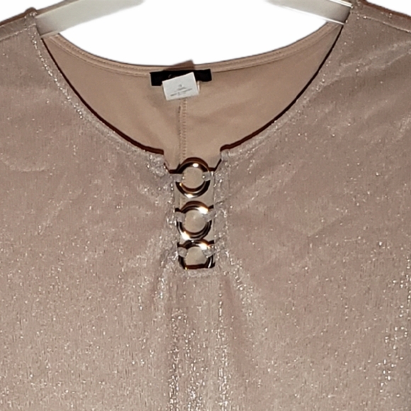 Cocomo | Tops | Cocomo Womens Plus Size X Chiffon Sheer Silver Sparkle ...
